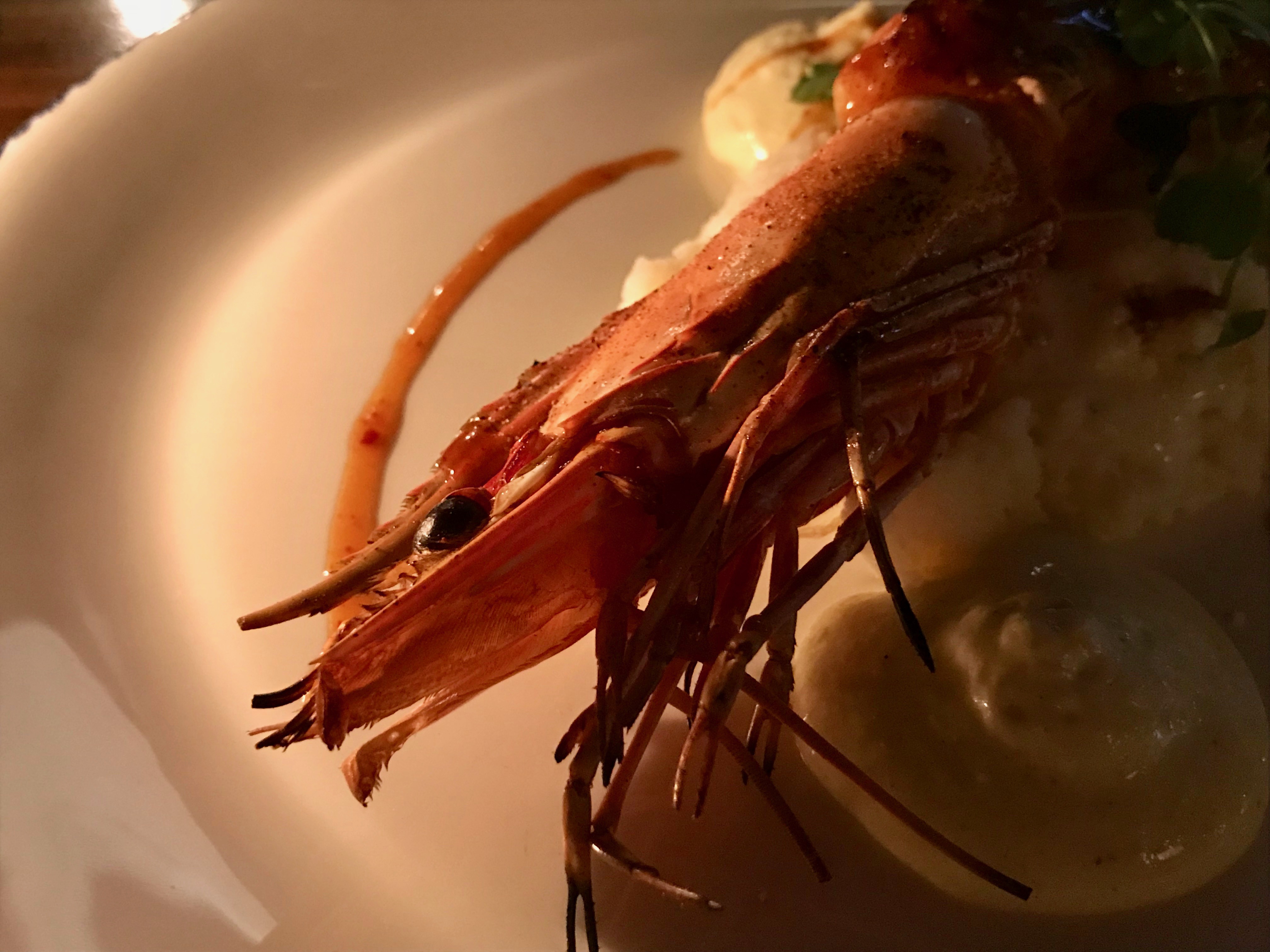 Purveyor Huntsville Provides More than Just Great Food – savor